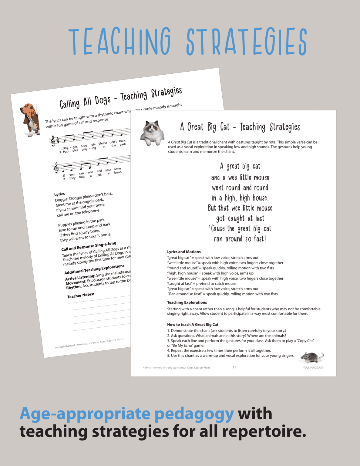 FVM | Animal-Themed Introductory Singing Class Lesson Plans