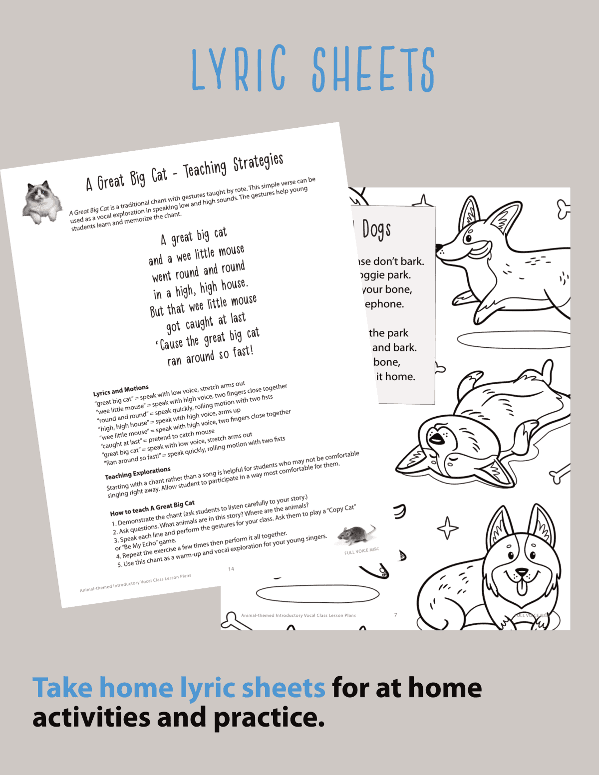FVM | Animal-Themed Introductory Singing Class Lesson Plans